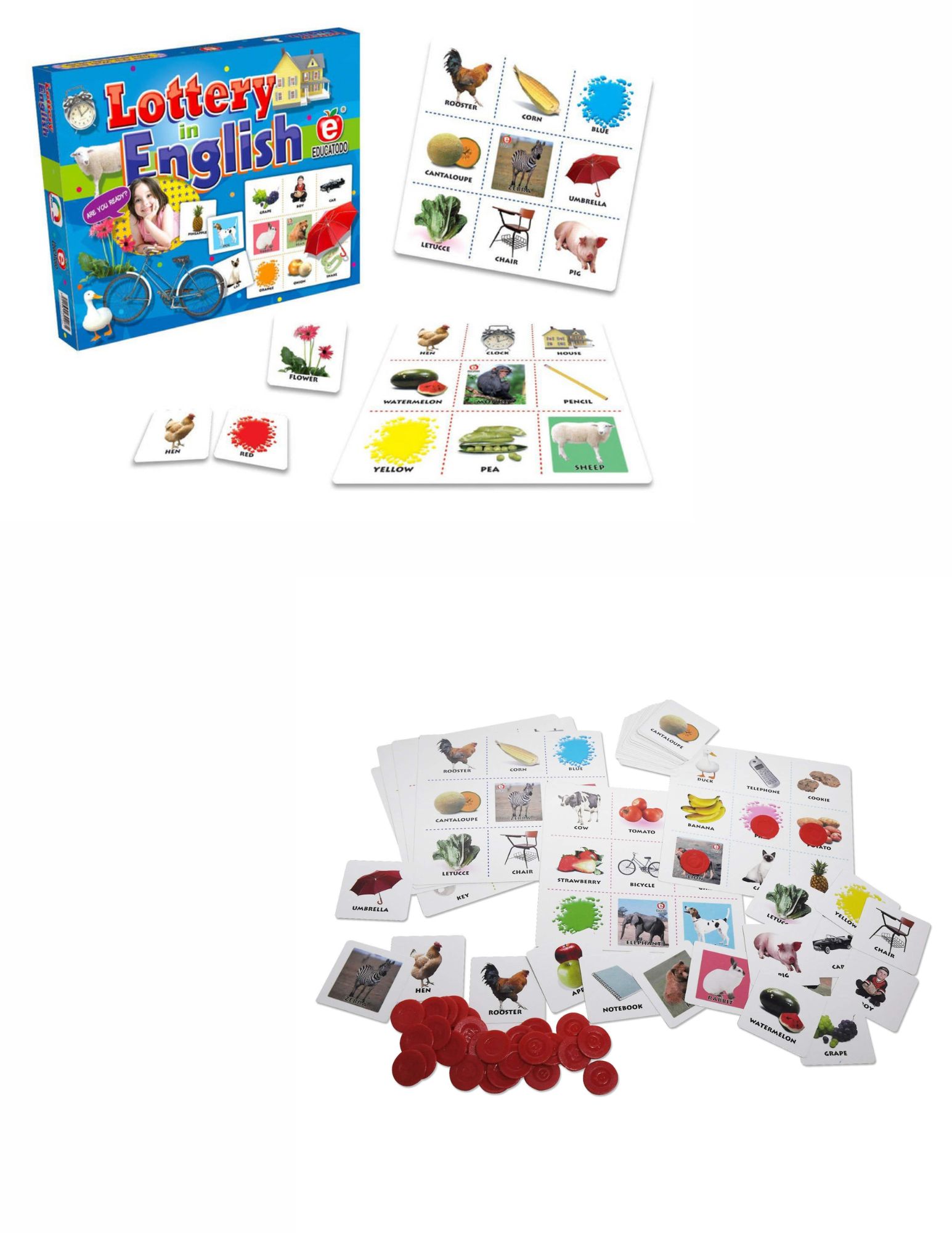 LOTTERY IN ENGLISH (VOCABULARY)